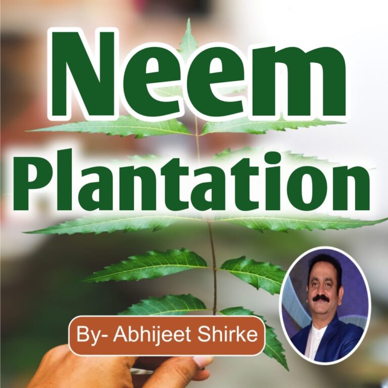 Neem Plantation: The Powerful Solution for Healthier Planet